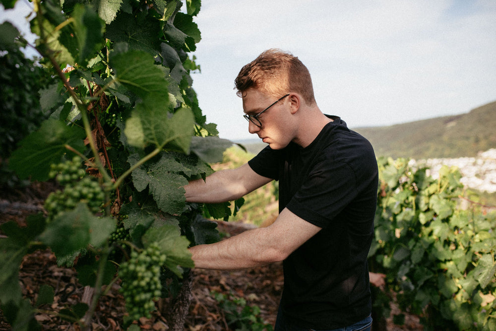 2022 Dom Pinot Noir – Weingut Daniel & Reiner Fries